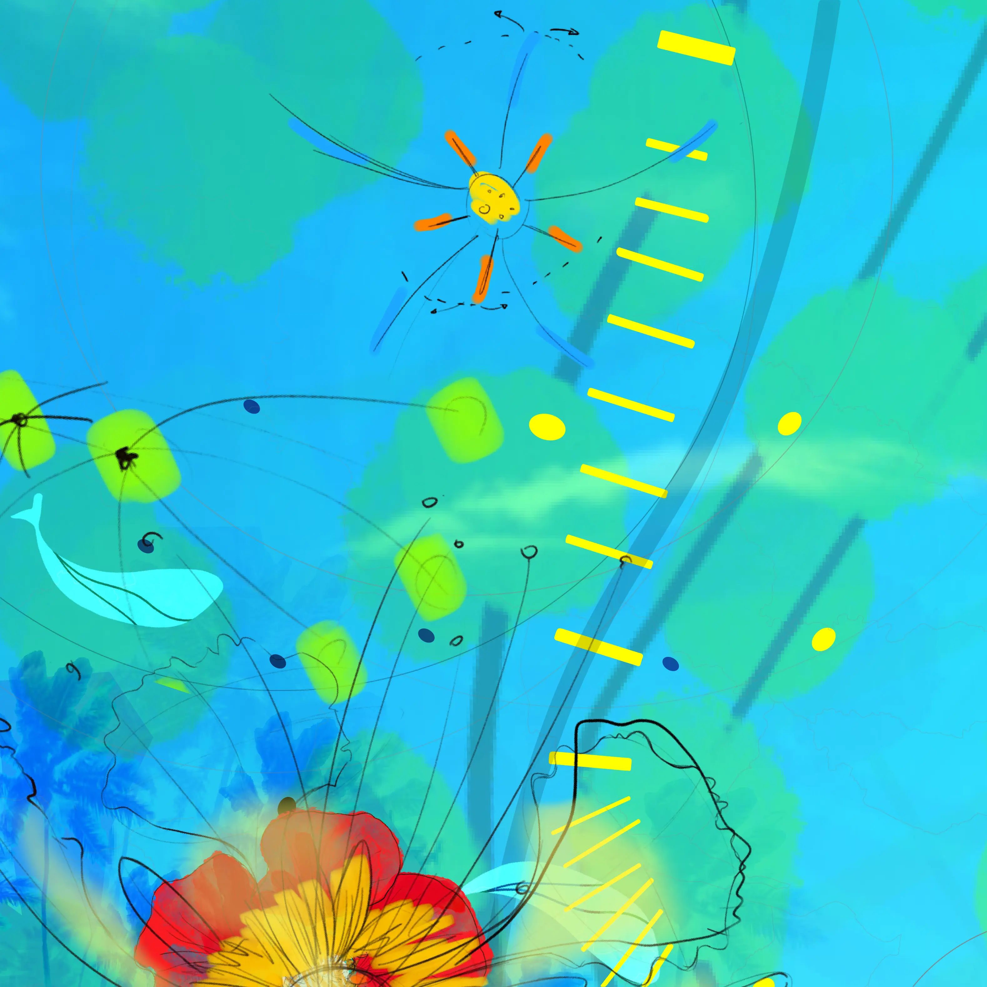 Avaliação e Monitoramento Paraíba
